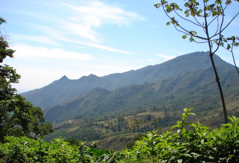 Instituto de Pesquisas Ambientais