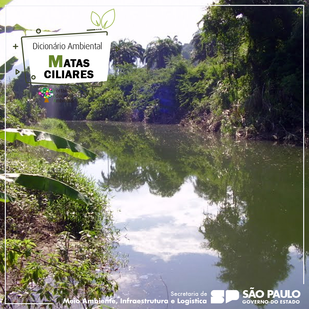 Portal de Educação Ambiental