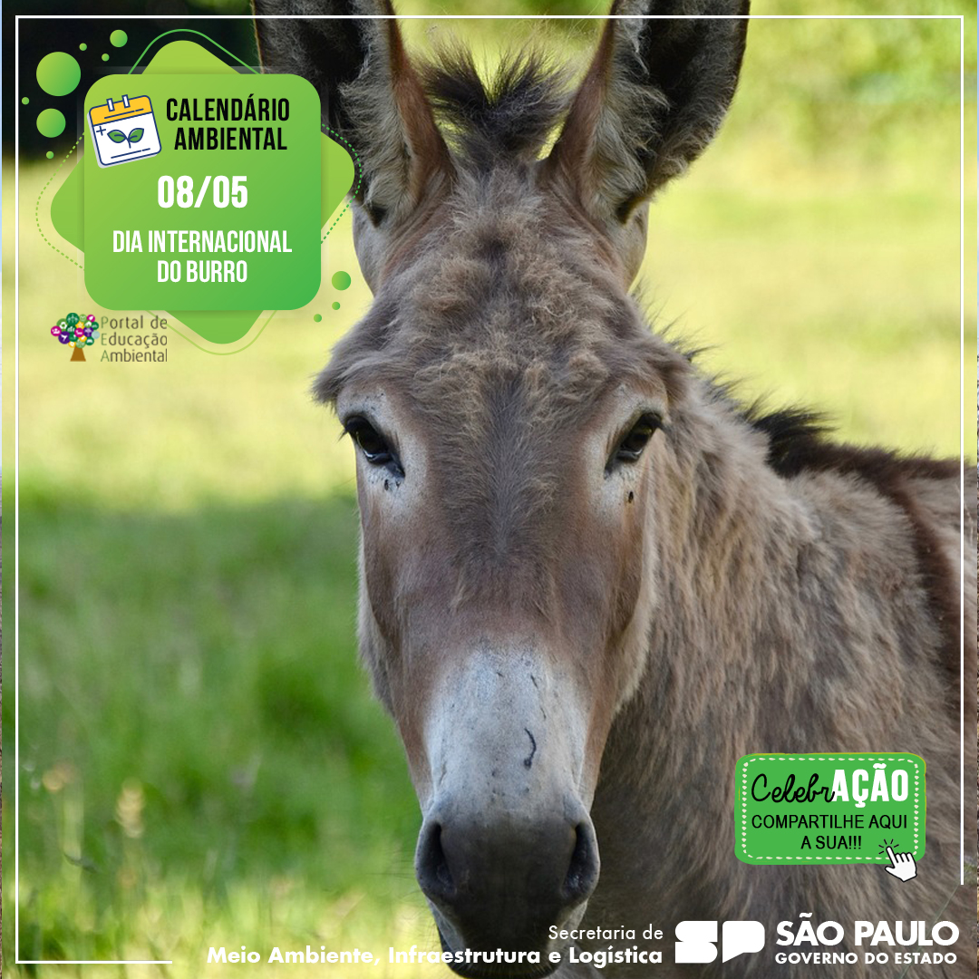 Portal de Educação Ambiental