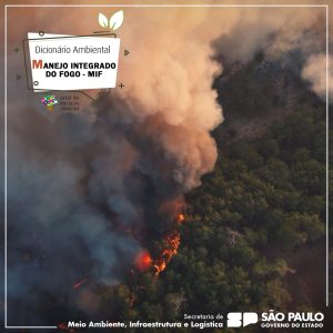 Portal de Educação Ambiental