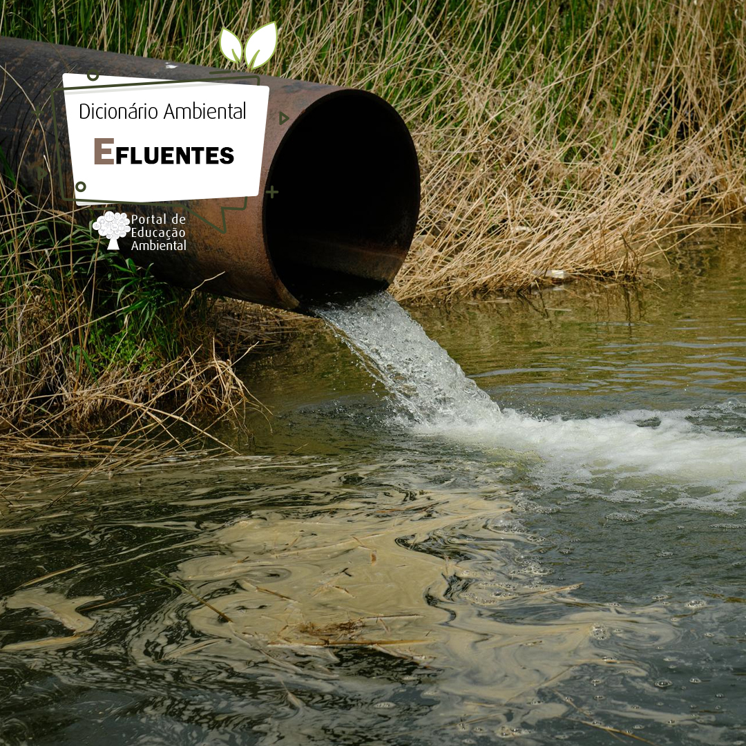 Portal de Educação Ambiental