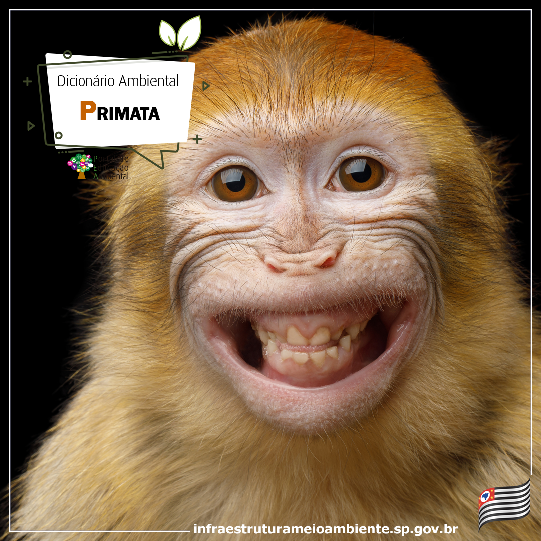 Portal de Educação Ambiental