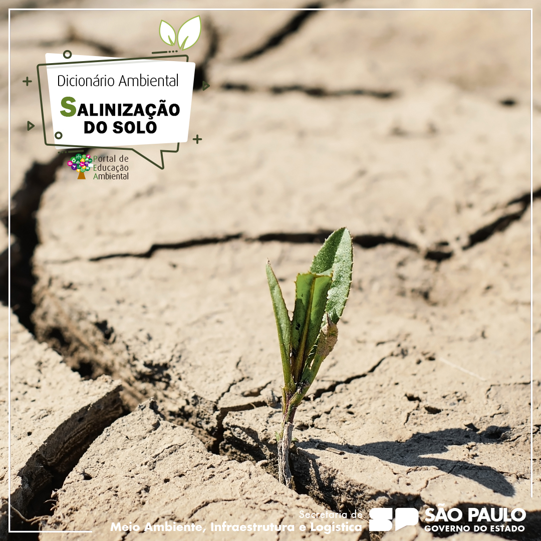 Portal de Educação Ambiental